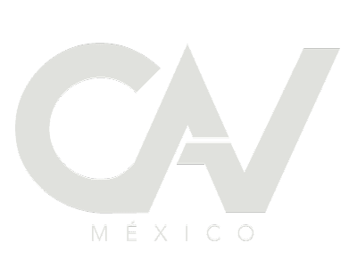 “Nuestro compromiso es con la transparencia financiera”: CAV México ...